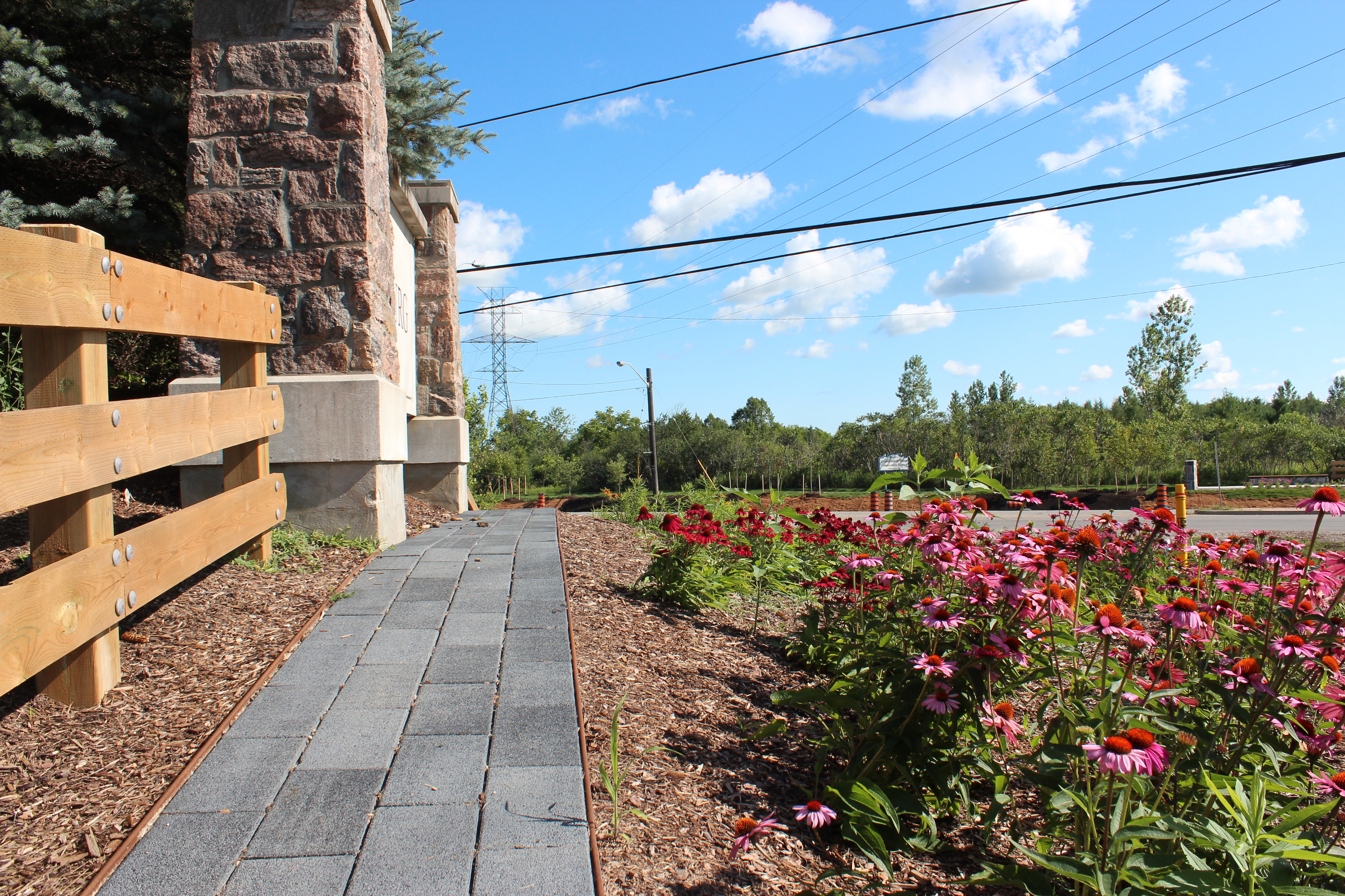 Municipal Landscape Construction | Forest Ridge Landscaping