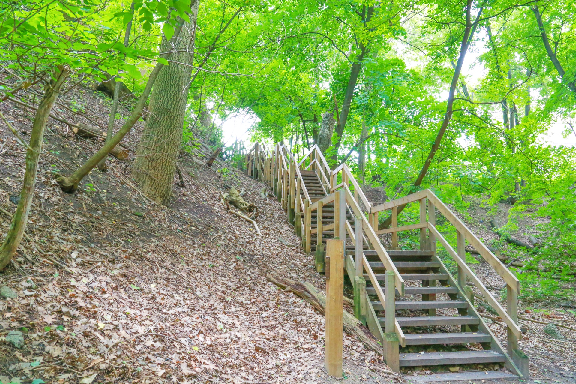 Commercial Portfolio | Forest Ridge Landscaping