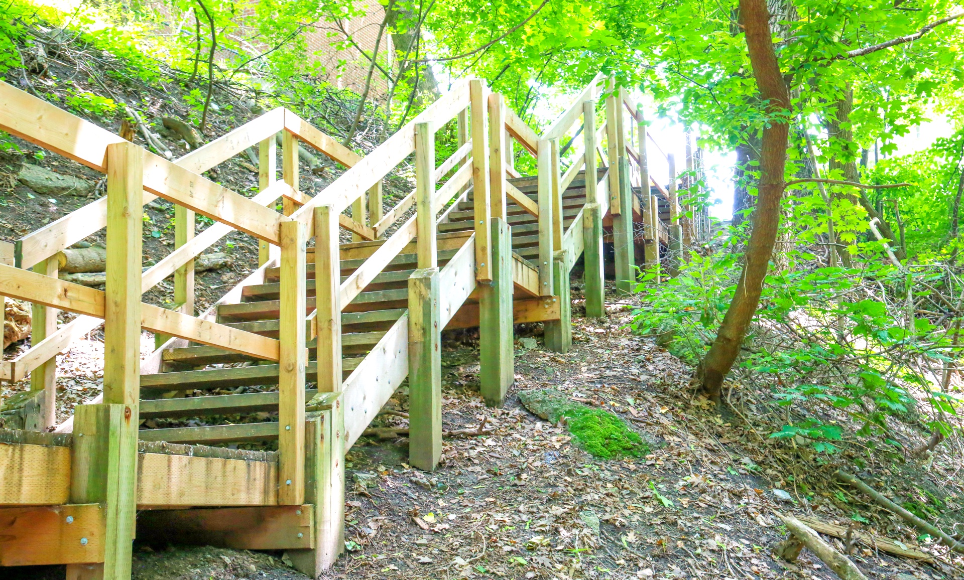 Commercial Portfolio | Forest Ridge Landscaping